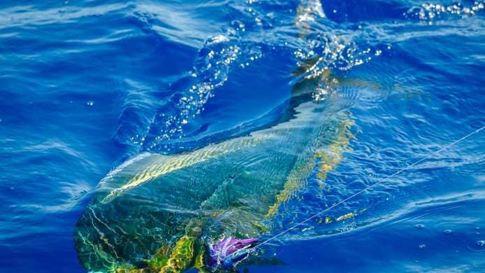 Entdecken Sie die Bahamas Inseln | Costa Kreuzfahrten