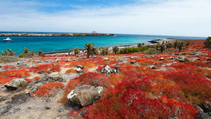 Die Galapagosinseln: die 15 schönsten | Costa Kreuzfahrten