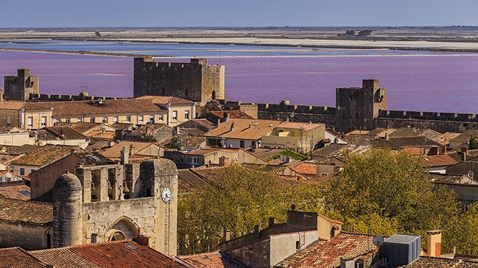 Wild und … rosa! Willkommen in der Camargue