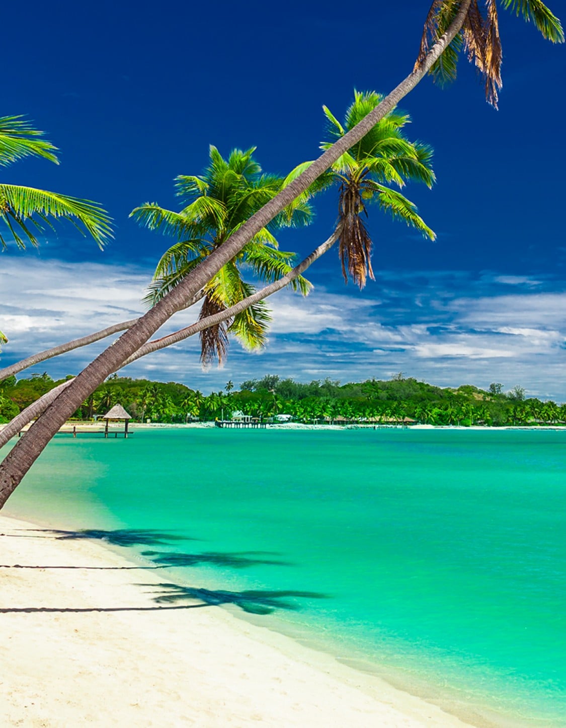 Fidschi-Inseln Kreuzfahrten: Preise, Angebote und Routen | Costa ...